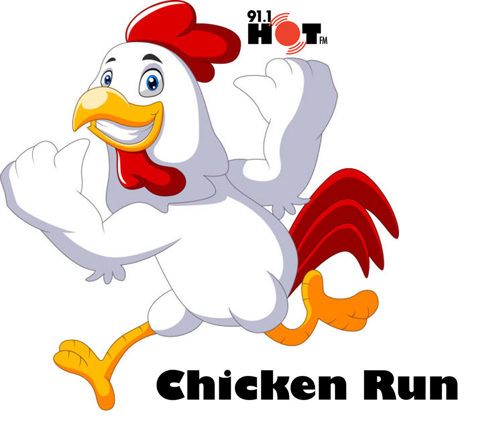 Chicken Run - Lookout 07 | Youth Centre Sunshine Coast – Support ...